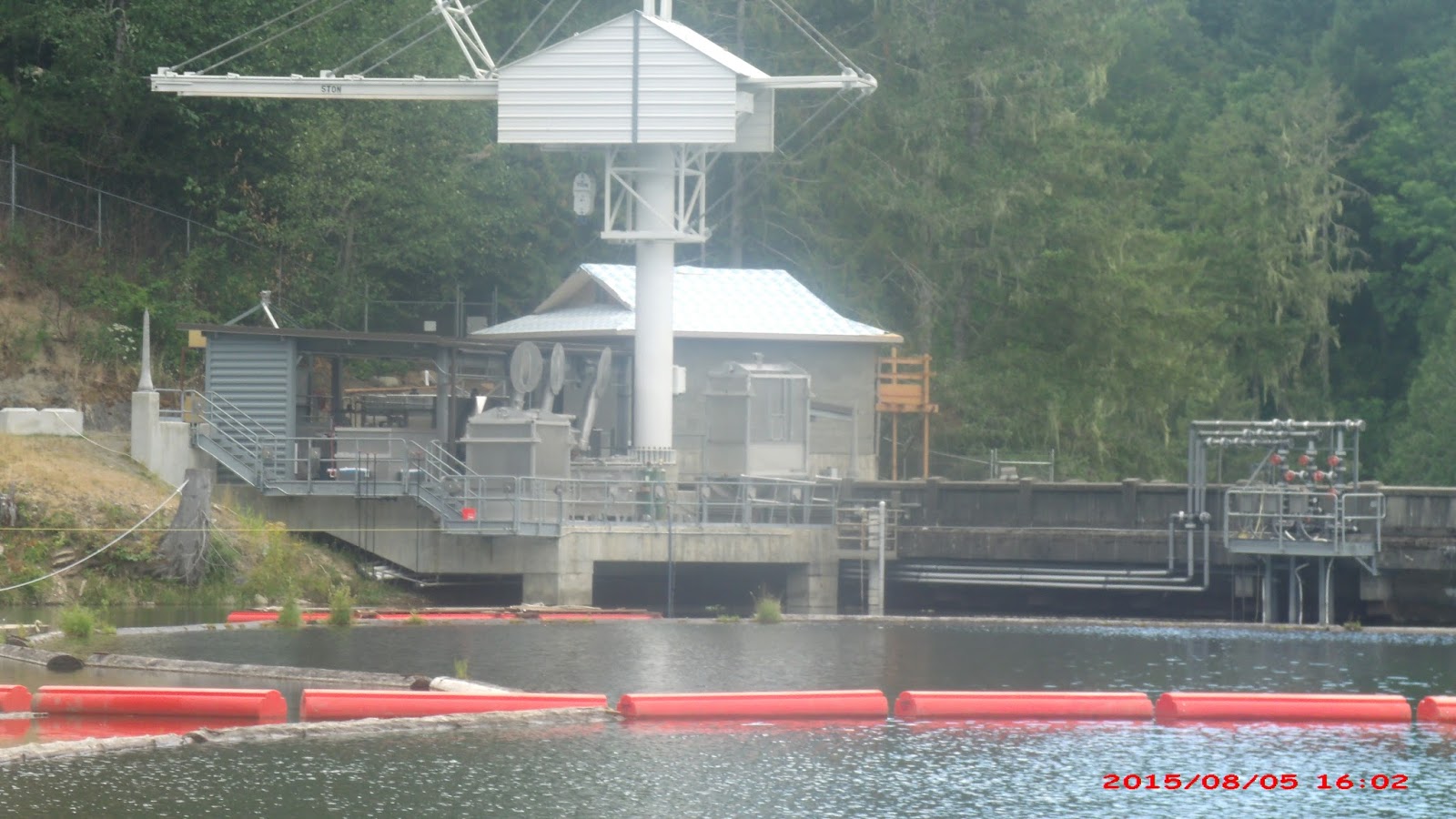 Look at Life Purpose: Visit to Cushman Dam and Hood Canal