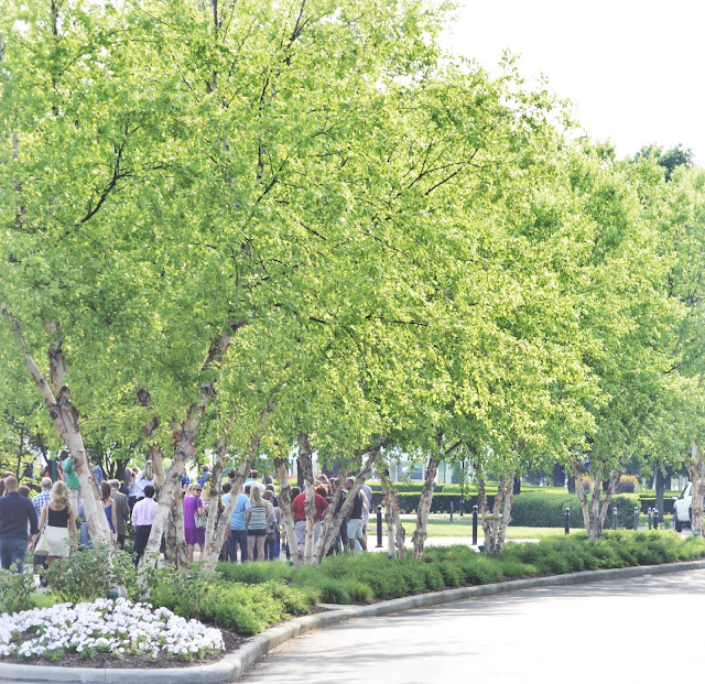 ColumBEST ⋆ A City Explored