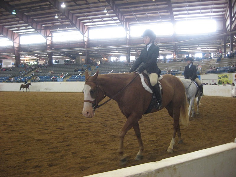 4R Ranch: Virginia State 4-H Horse Show 2011