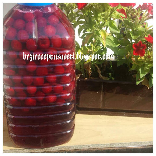Brzireceptiisaveti.blogspot.com: Visnjevac -recept