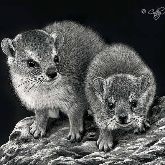 Design Stack: A Blog about Art, Design and Architecture: Wildlife ...