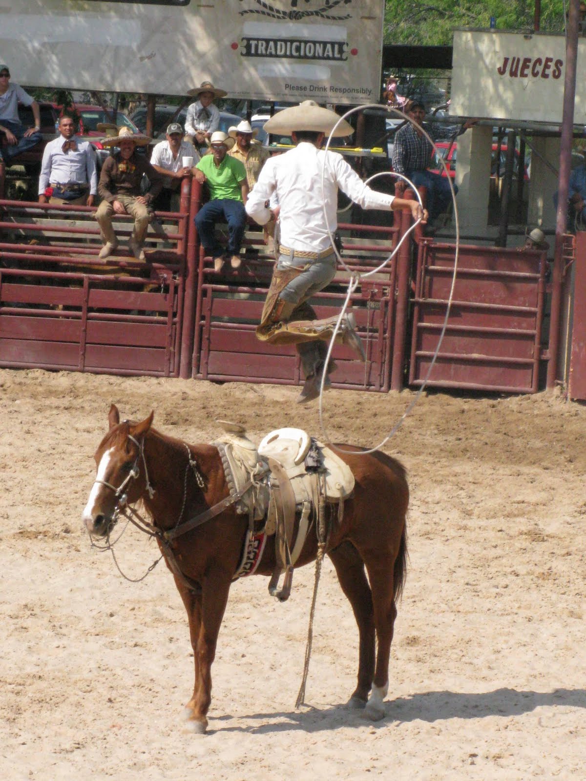 Meandering...: Charreada of Fiesta San Antonio