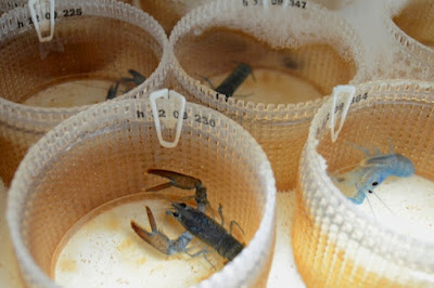 Exhibit Galleries Blog