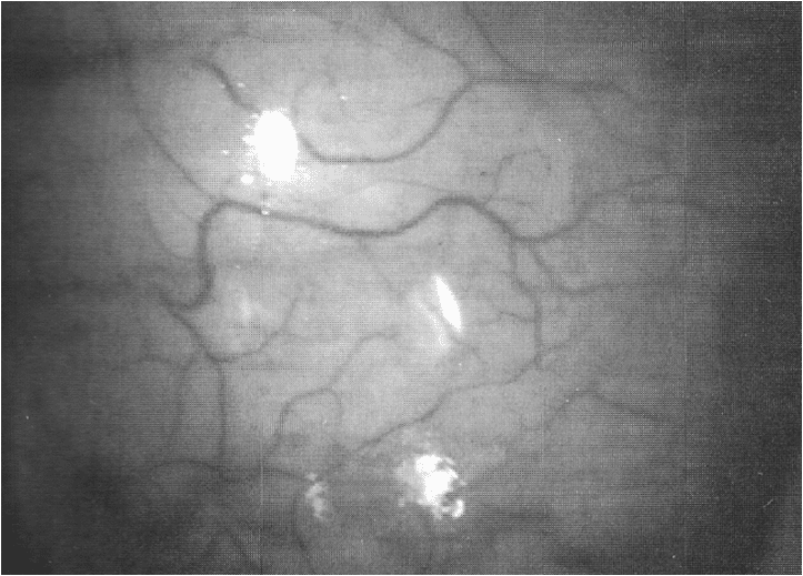 Σωτήρης Κ. Ανδρεαδάκης - Χειρουργός Ουρολόγος - Ανδρολόγος F.E.B.U ...