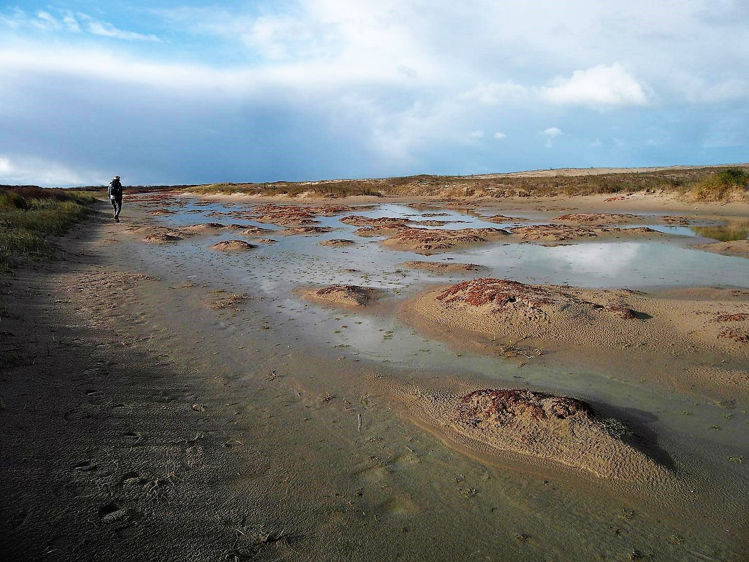 Mooiste Routes: Wandelen bij Renesse (Zeeland)