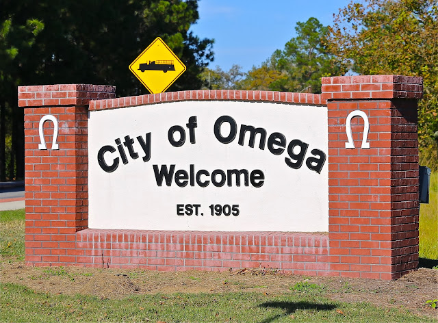 Sweet Southern Days: Cotton Pickin' Time in South Georgia