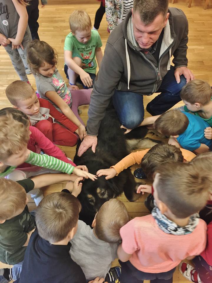 Heiksi blogi: "Purupurjus Valner käis uimastatud koeraga lasteaias!?"