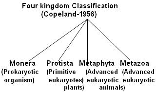 TO MY DEEPAK SIR (SHYAM S VYAS): lesson 1---Biological Classification ...