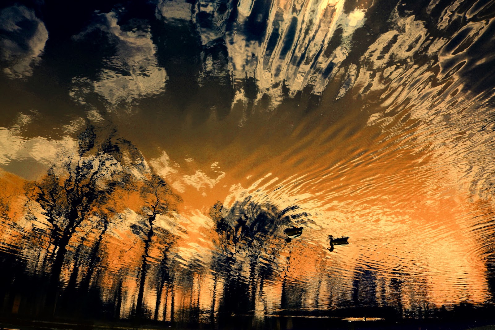 A moment can haunt you forever: Vienna: Psychedelic spring