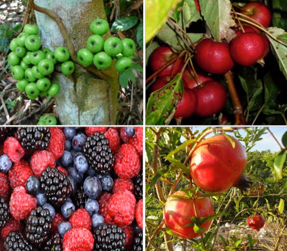 NephiCode: Divine Forethought—“All these things were prepared of the Lord”