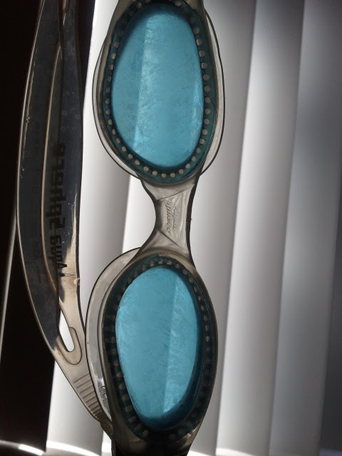 Run Lily Run: How to clean your swim goggles