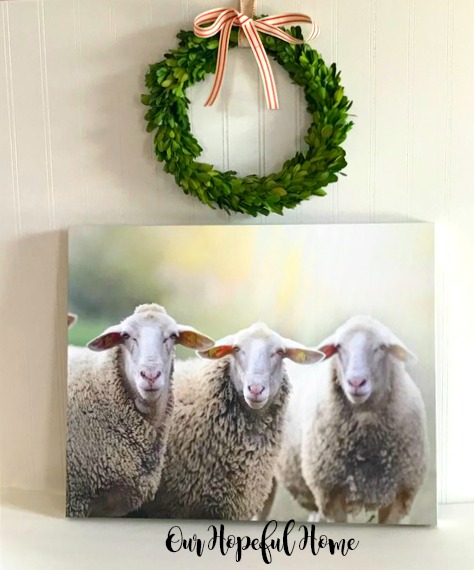 Our Hopeful Home: Farmhouse Sheep Wall Art and Canvas Factory Giveaway!