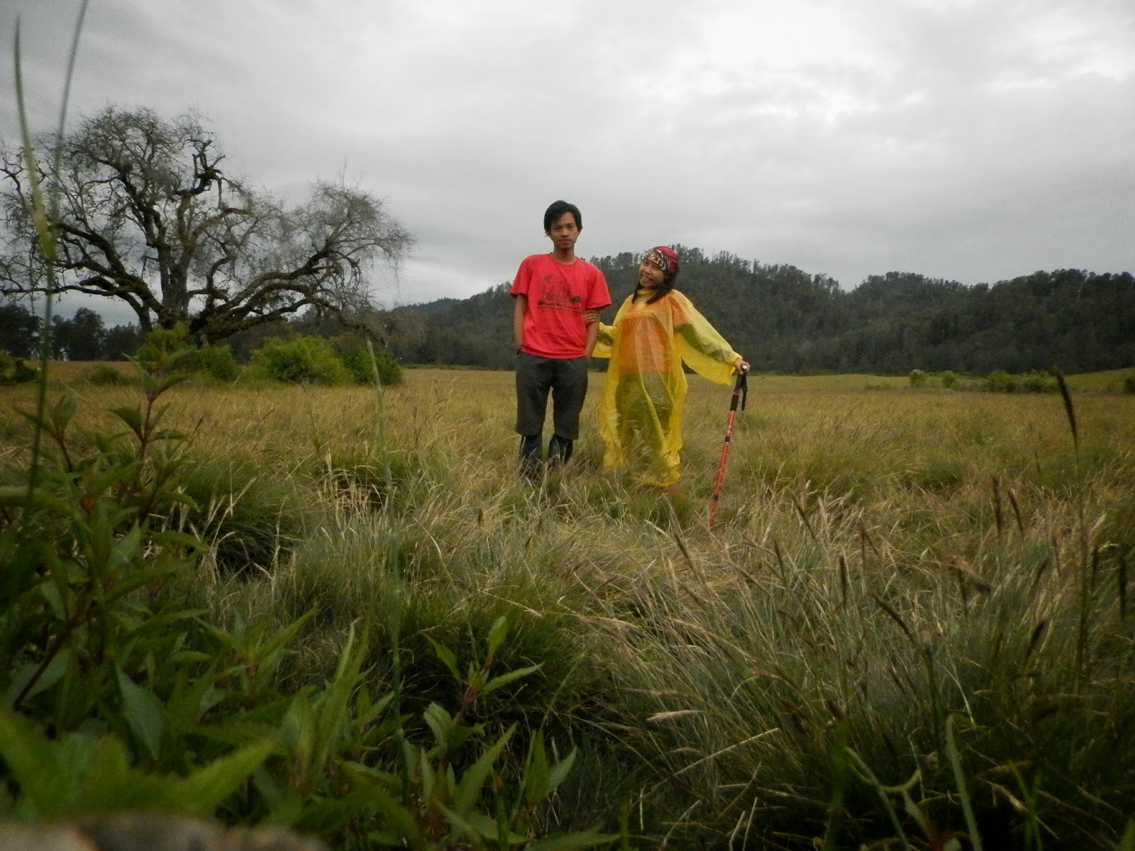 ARGOPURO: Mendaki, Tersesat, dan Dimanipulasi | tabula rasa