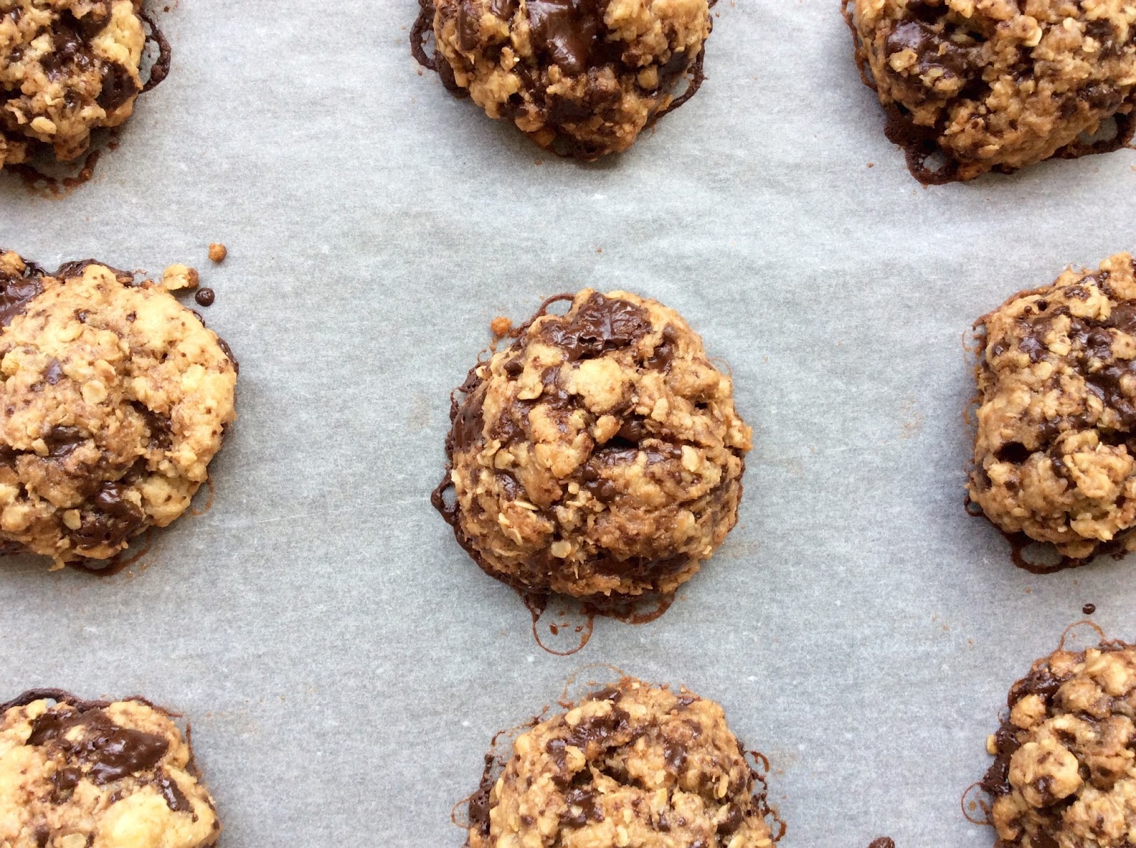 Biscoitos de aveia, chocolate e coco | flor do brownie