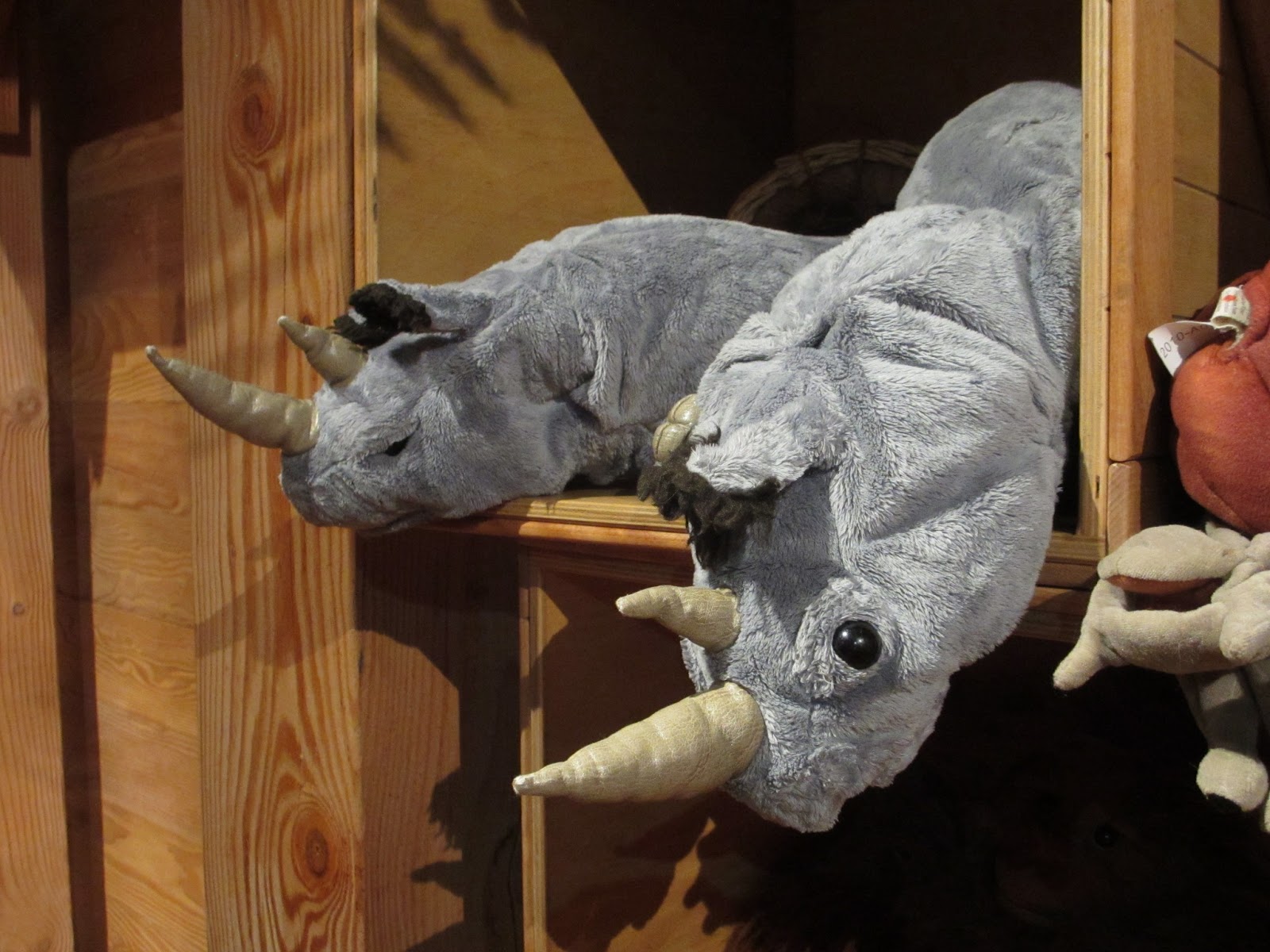 Cannundrums: Noah's Ark at the Skirball - Second Chances