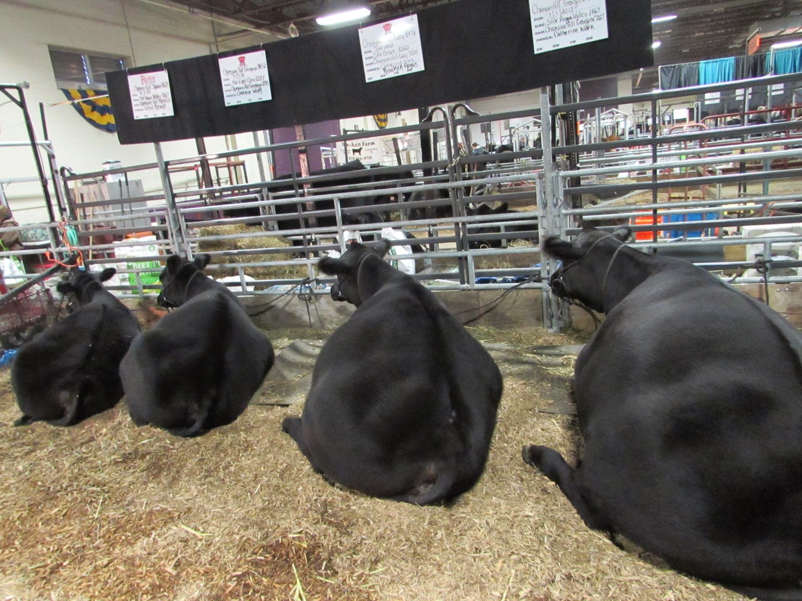 2015 Pennsylvania Farm Show Opening Day | Interesting Pennsylvania and ...