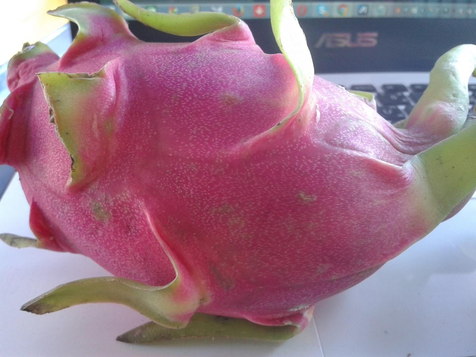 The Dragon Fruit For Me For Health, How to grow dragon fruit Plan ...