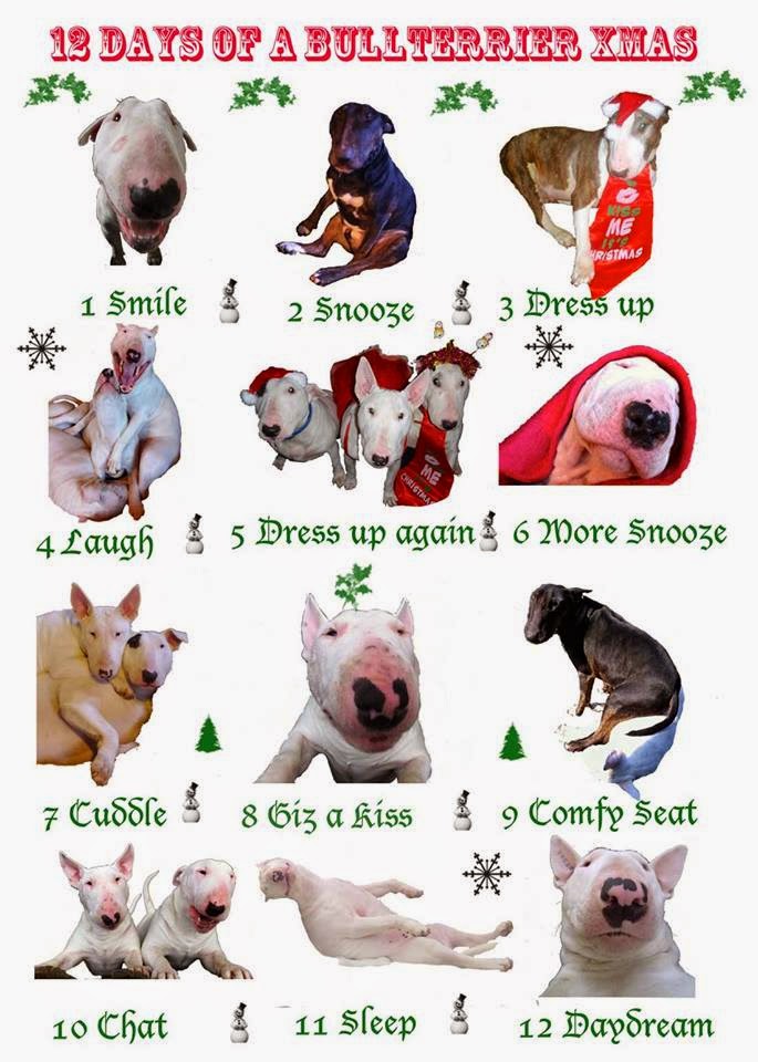 Lisa's World: 12 Dog Days of Christmas