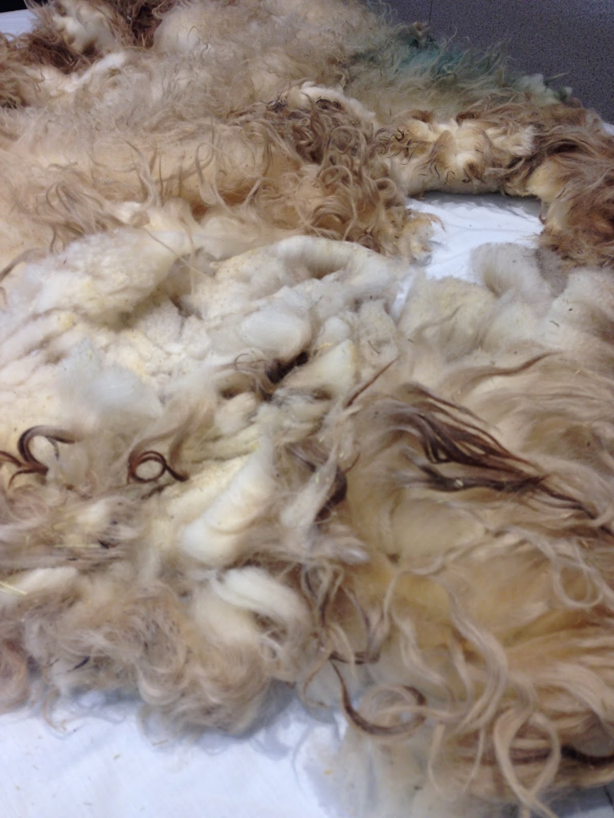 DCWS: Skirting the Fleece - Spinning in the Grease