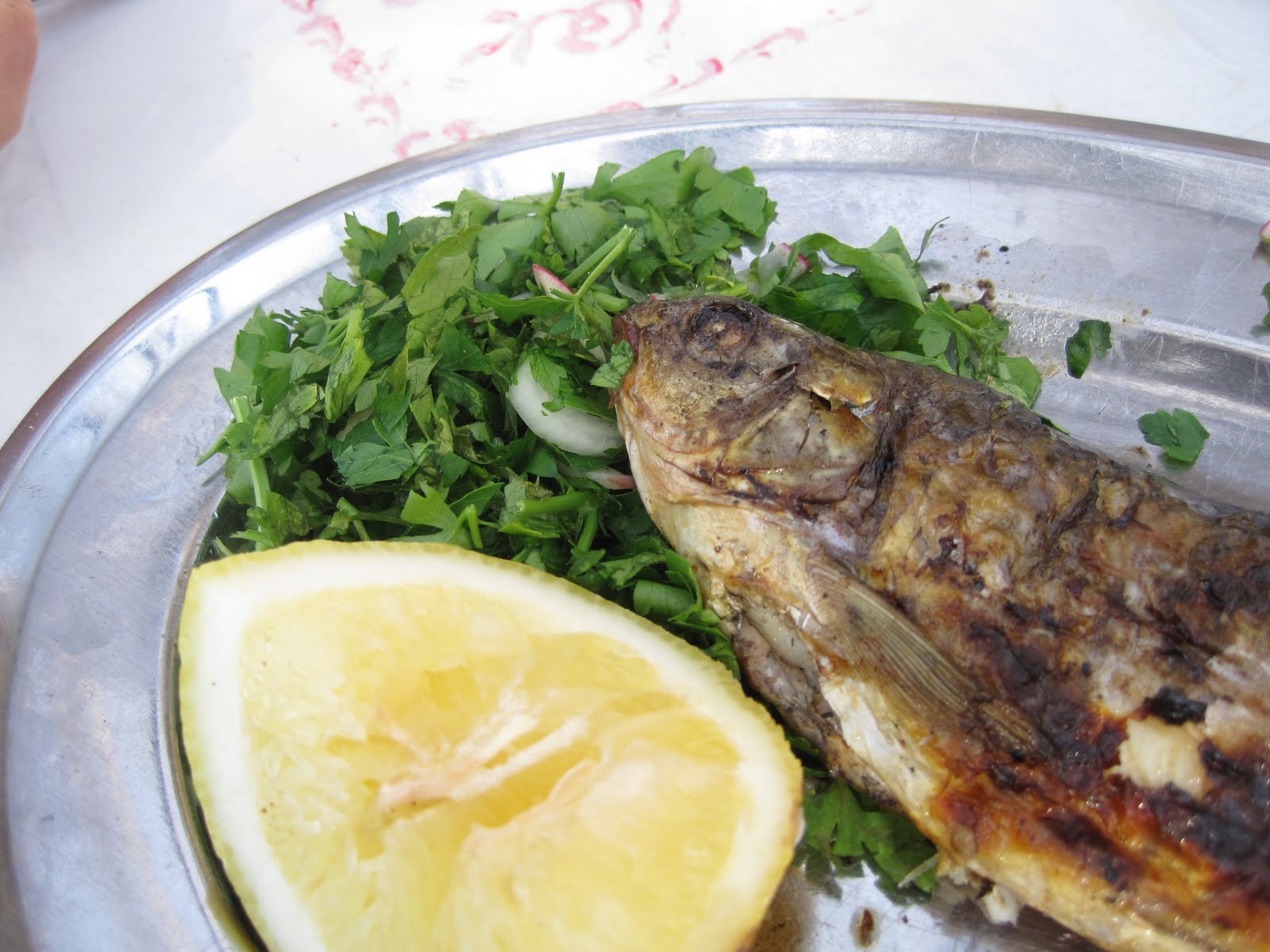 Ahh the food, the food- Syria, Lebanon and Jordan