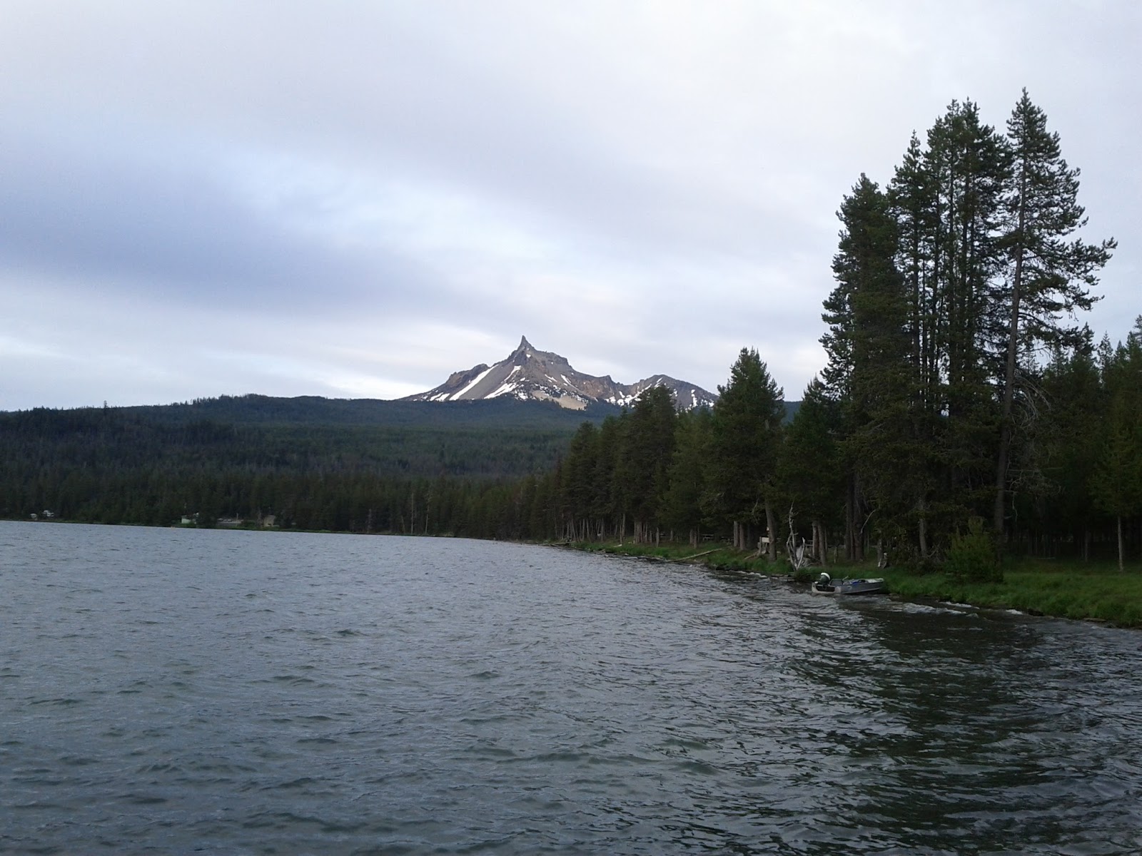 Tree of Life Christian Wilderness Expeditions