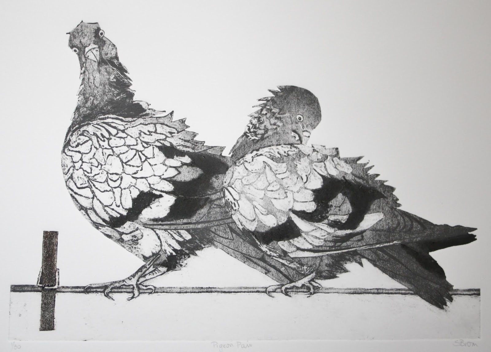 Sue Brown Printmaker: PRINTMAKING GALLERY