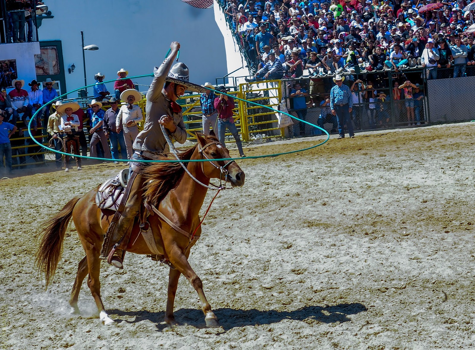 En el Colimador: ¿Rodeo cubano, espectáculo o deporte?