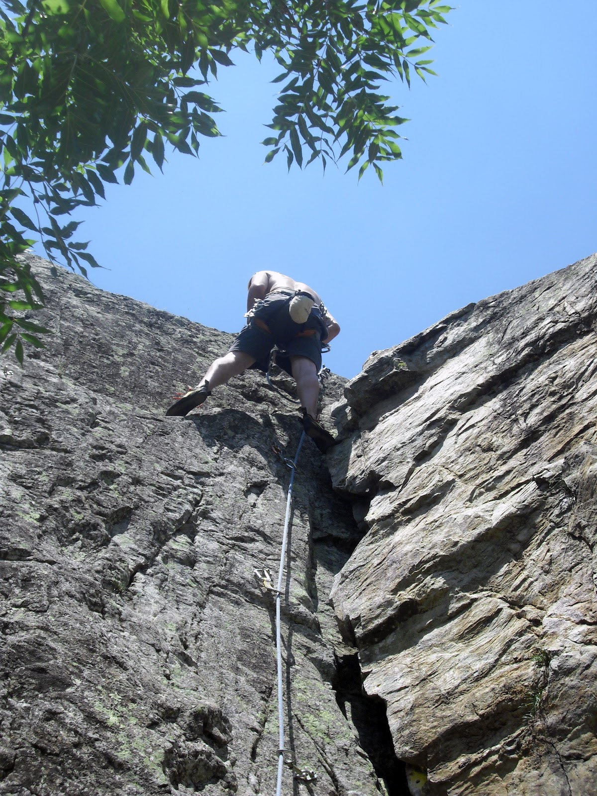 Esportiva en aranès - El príncep de les maduixes