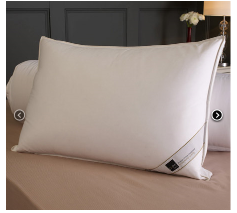 Top 8 for Expensive Pillows