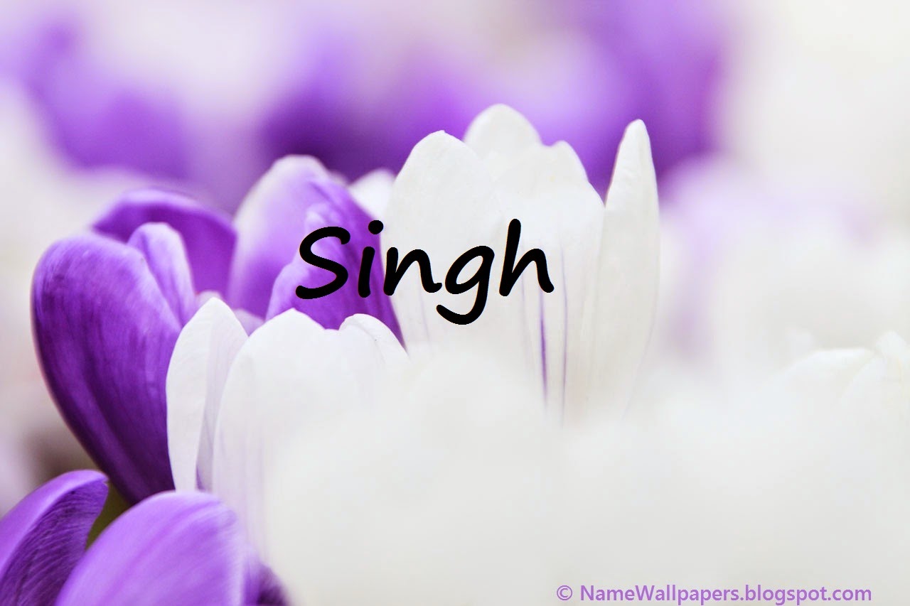 Singh Name Wallpapers Singh ~ Name Wallpaper Urdu Name Meaning Name ...