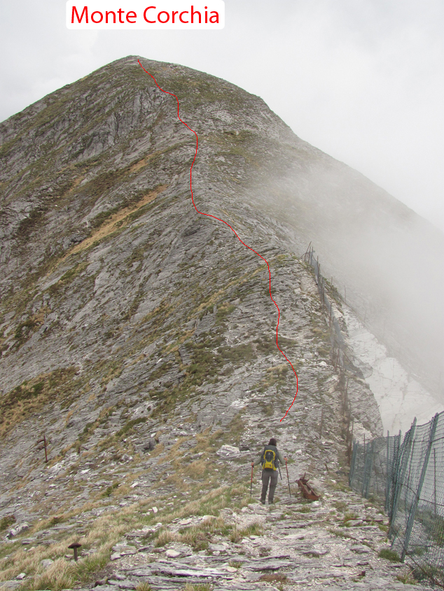 Escursionismo a 360°: Monti Corchia e Freddone (EE)