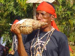 Saluran Budaya Bumi Sribu Pulau: TAHURI (Musik Kuli Bia)