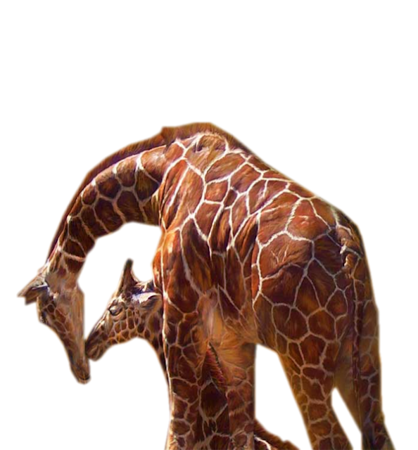 grafika-gify-kartki: . Zwierzęta: Żyrafa - Giraffe.png,gif