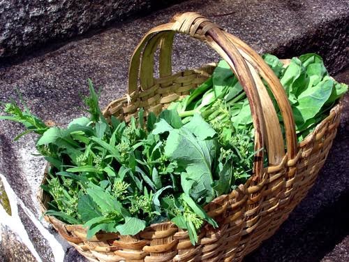 Espigos - Somos Madeira