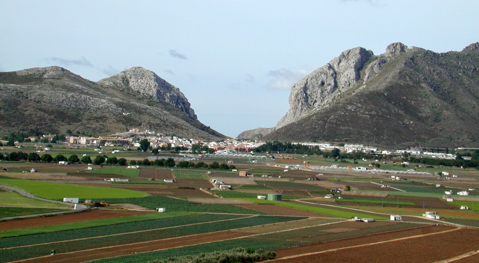 Maestro de Sociales: 2º BTO GEO Tema 12 El espacio rural