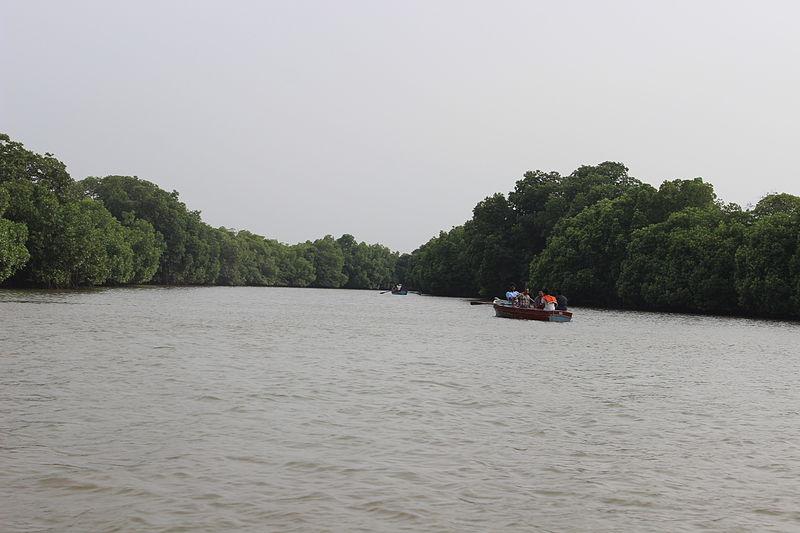 Tamilnadu Tourism: PICHAVARAM