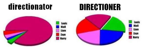 everything one direction:)