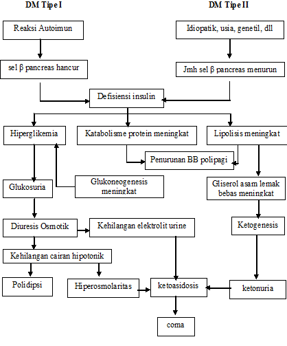 Perawat Hati: Askep Diabetes Mellitus