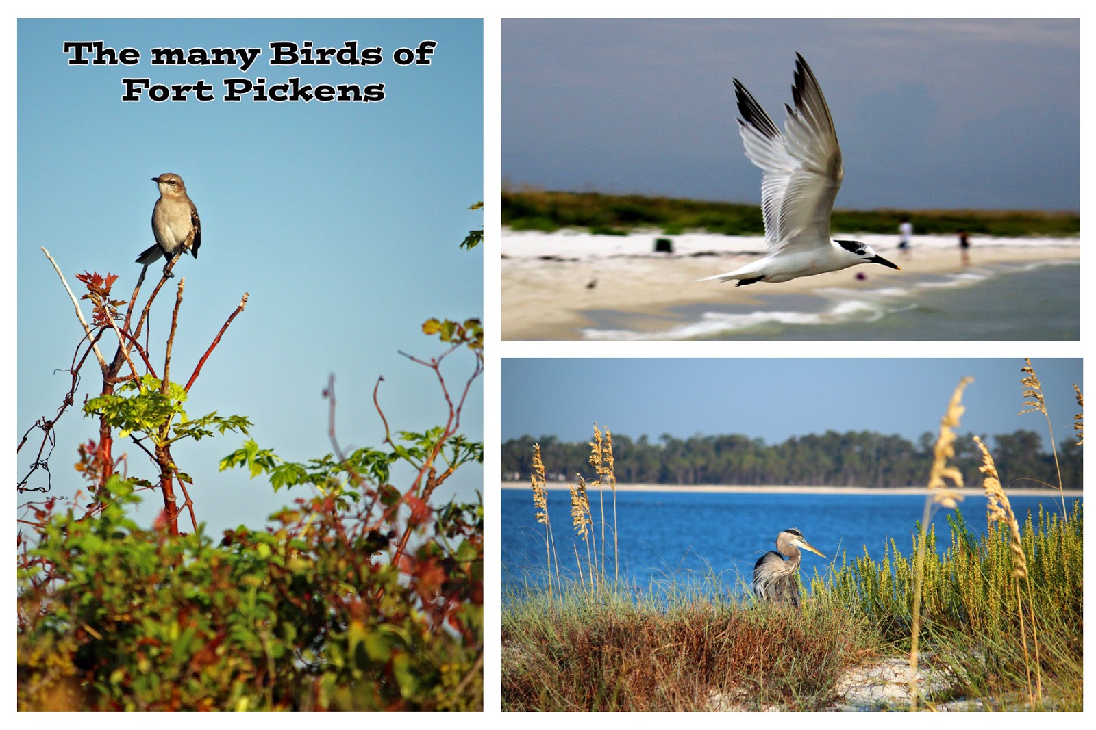 Perfect Weather for a trip to Fort Pickens