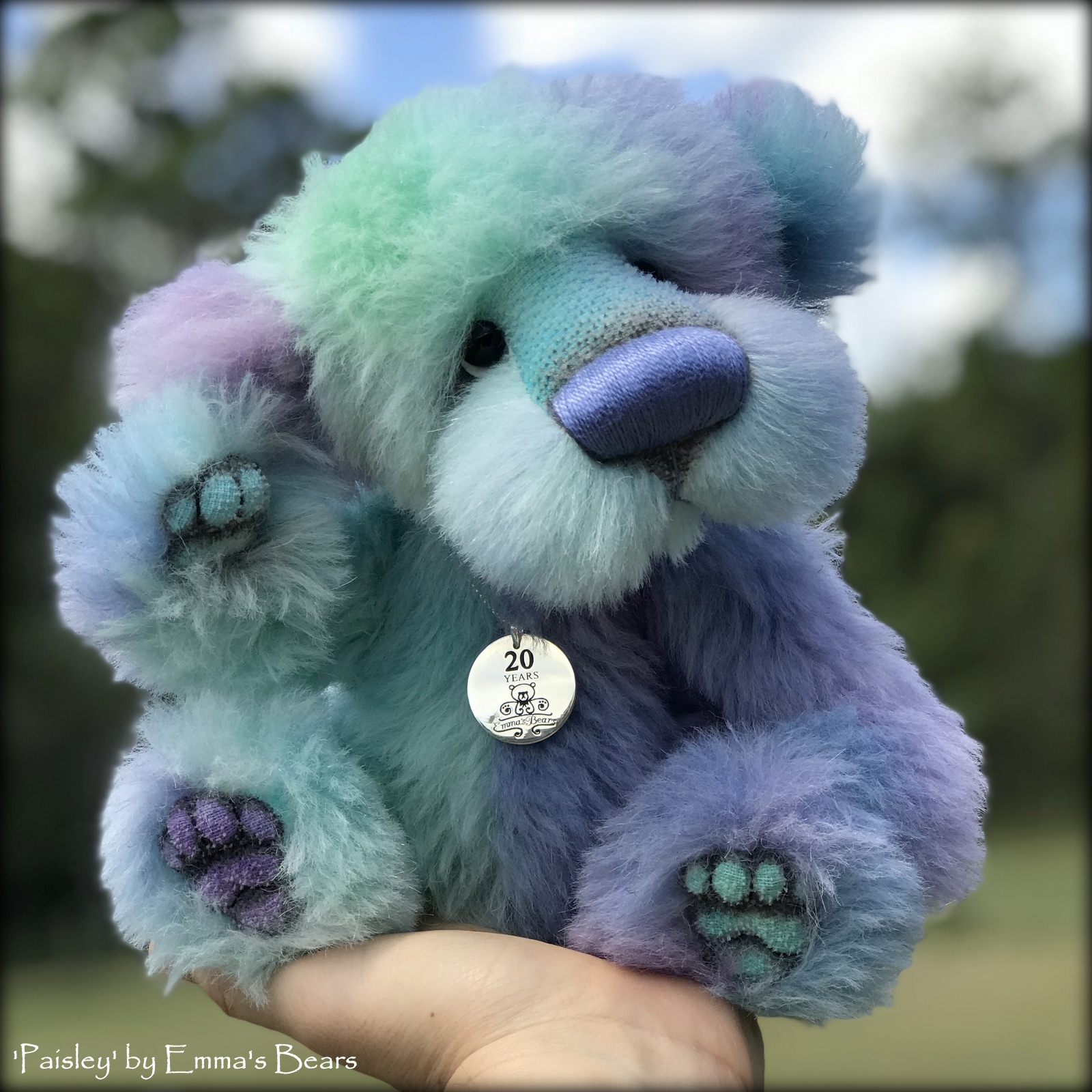 The Inner World of Emma's Bears: 20 Years of Emma's Bears
