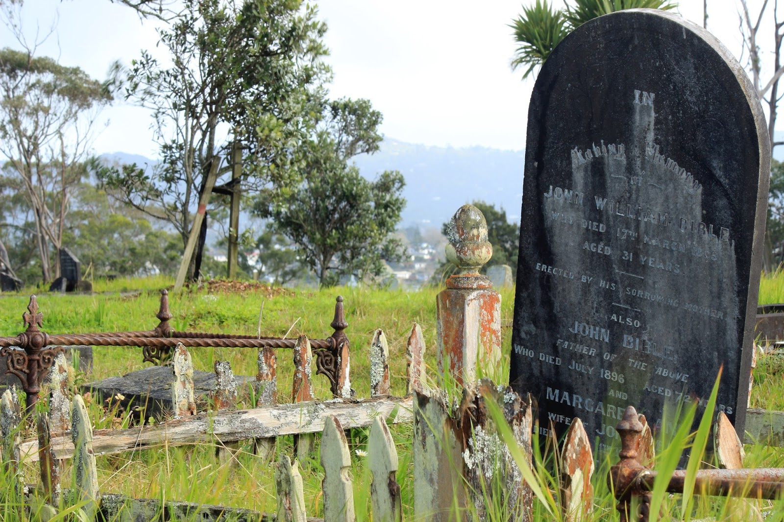 Discover Waikumete Cemetery: The Anguish of Alcohol and the Asylum ...