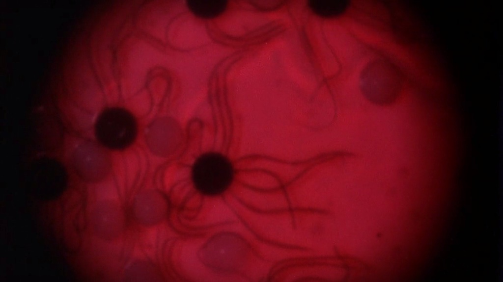 The Bloody Pit of Horror: Creeping Flesh, The (1973)