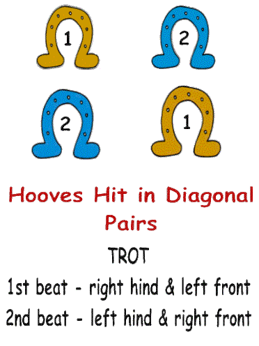 A GREEN HORSE is a NATURAL, ECONOMICAL and ECO-FRIENDLY WAY to a ...