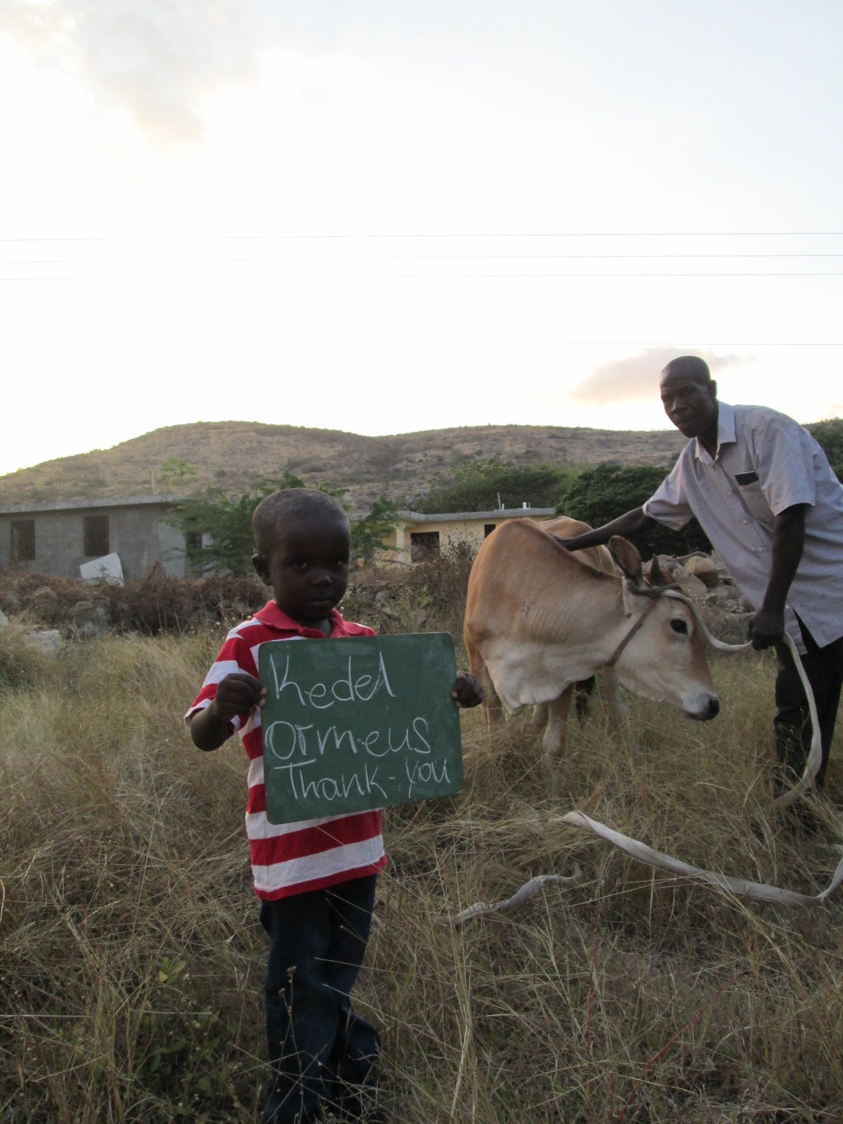 The Haitian Vocation: About the Haiti Animal Project