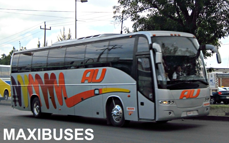 MAXIBUSES: AUTOBUSES UNIDOS (AU)