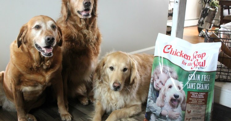 Is Chicken Good For Golden Retrievers