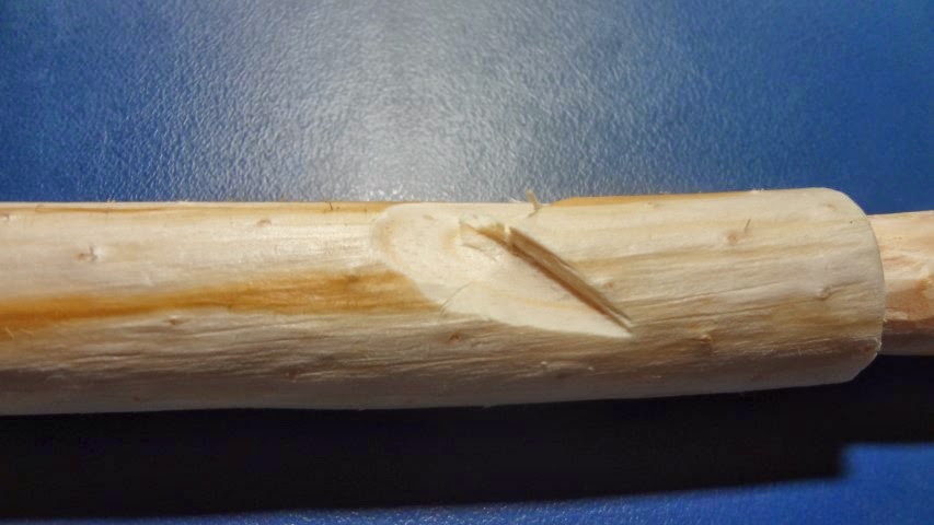 "Try Stick" ~ | Bushcraft Berg