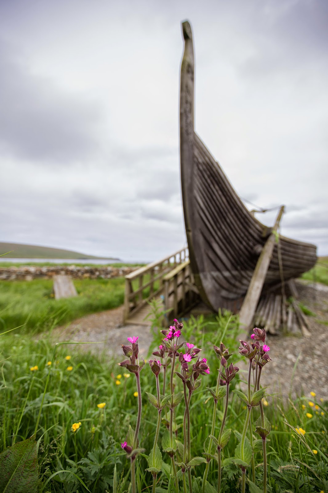 Viking Shetland Islands Scotland - Britain All Over Travel Guide