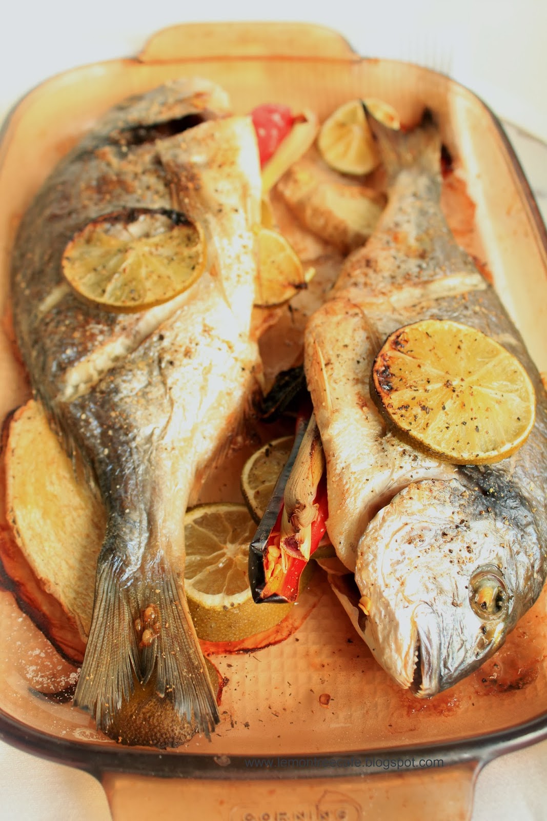 a lemon tree cafe: DORADA PIECZONA PO TAJSKU - THAI STYLE ROASTED DORADE