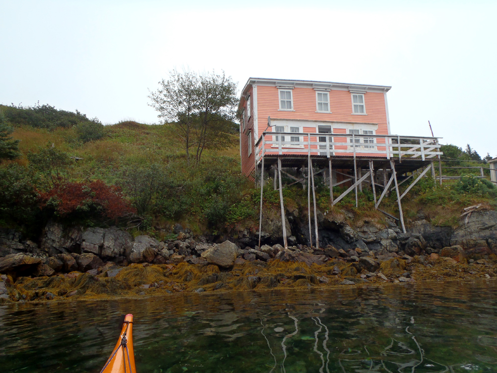 My Newfoundland Kayak Experience: Placentia Bay 2015: Paradise lost